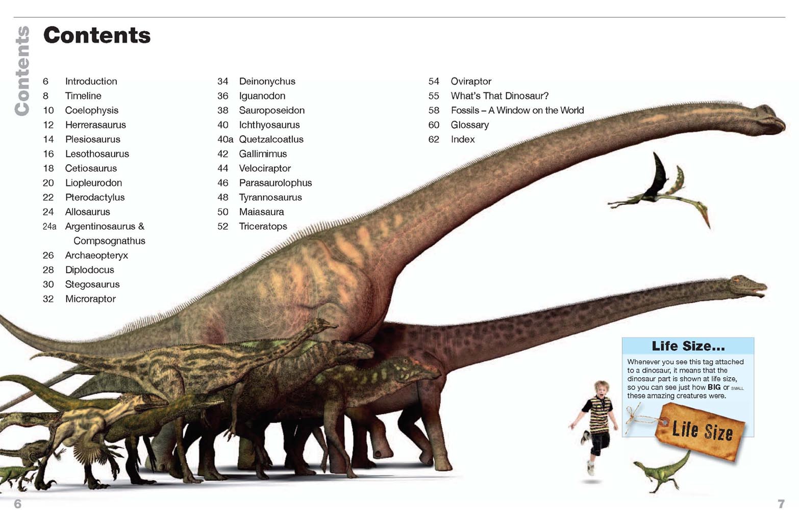 sayal-electronics-dinosaurs-life-size-reading-book-63784